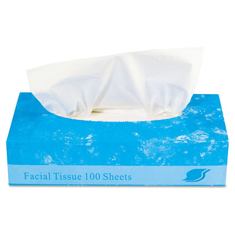 GEN Boxed Facial Tissue, 2-Ply, White, 100 Sheets/Box at OSI